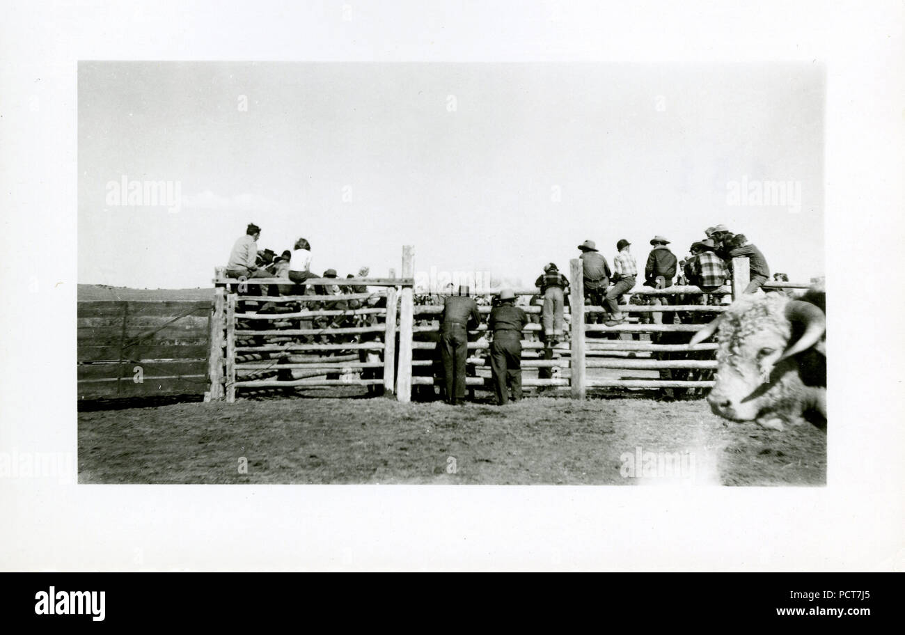 Cowboys sitting on fence hi-res stock photography and images - Alamy