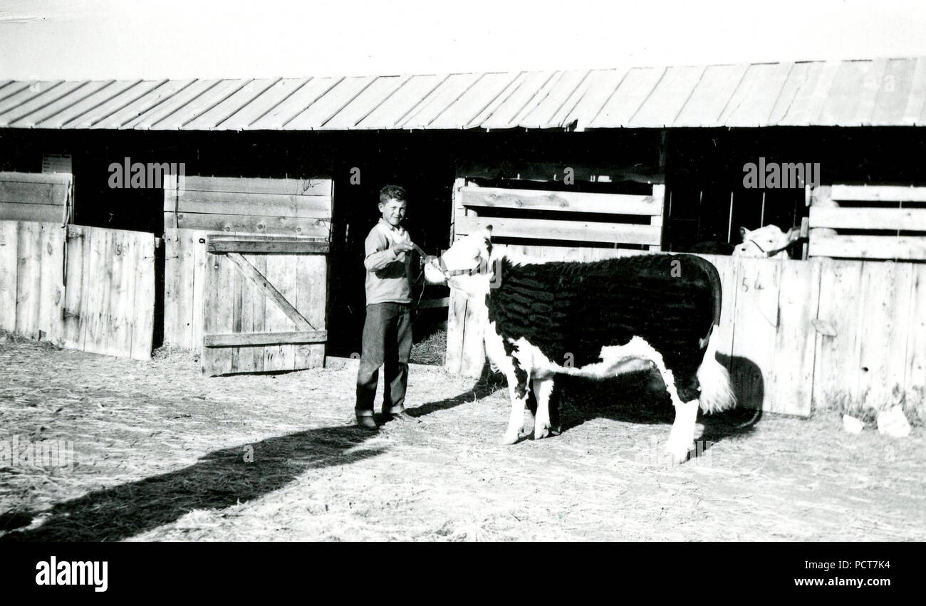 1940s cattle ranch hi-res stock photography and images - Alamy