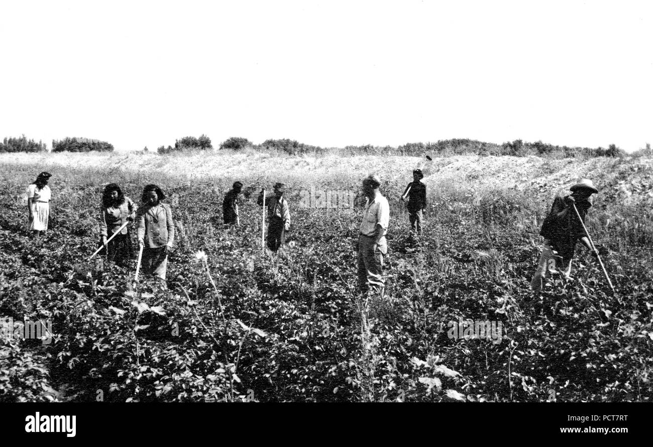 Laborers 1930s hi-res stock photography and images - Alamy