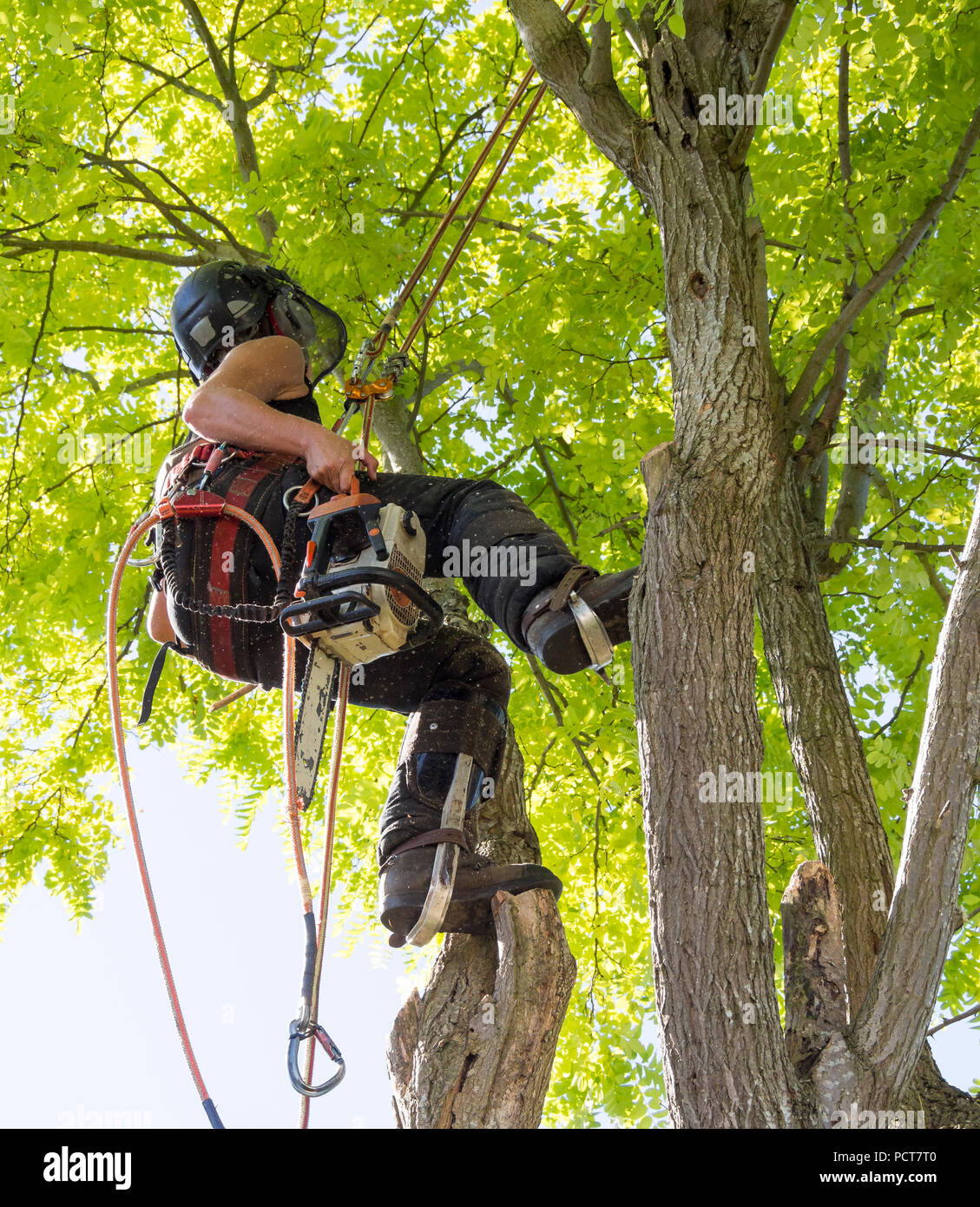 Woman Climbing Tree High Resolution Stock Photography and Images - Alamy