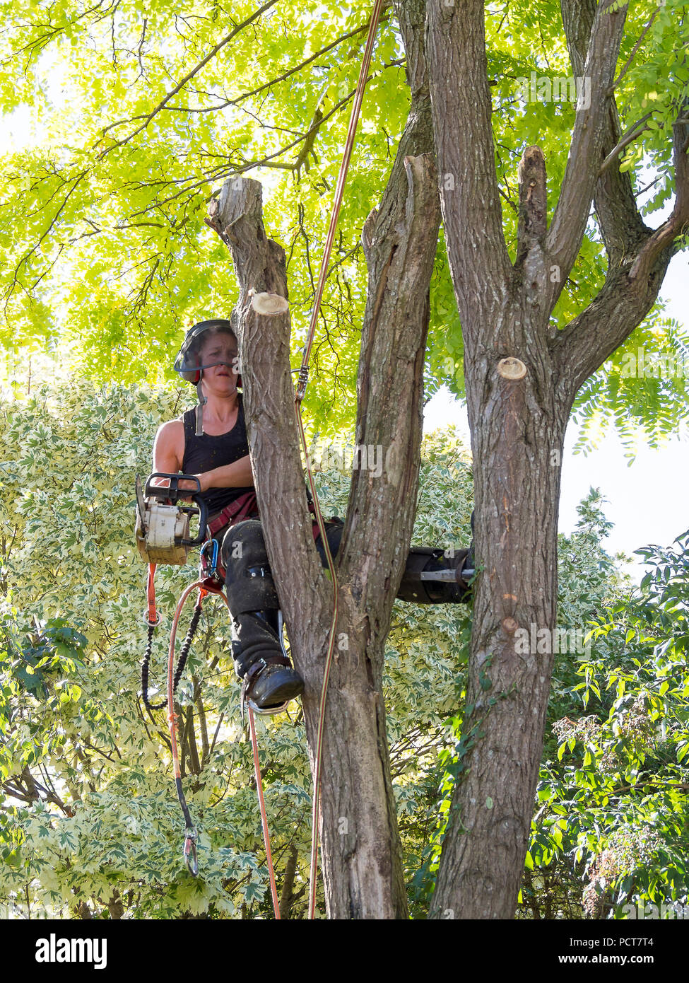 Woman lumberjack hi-res stock photography and images - Alamy