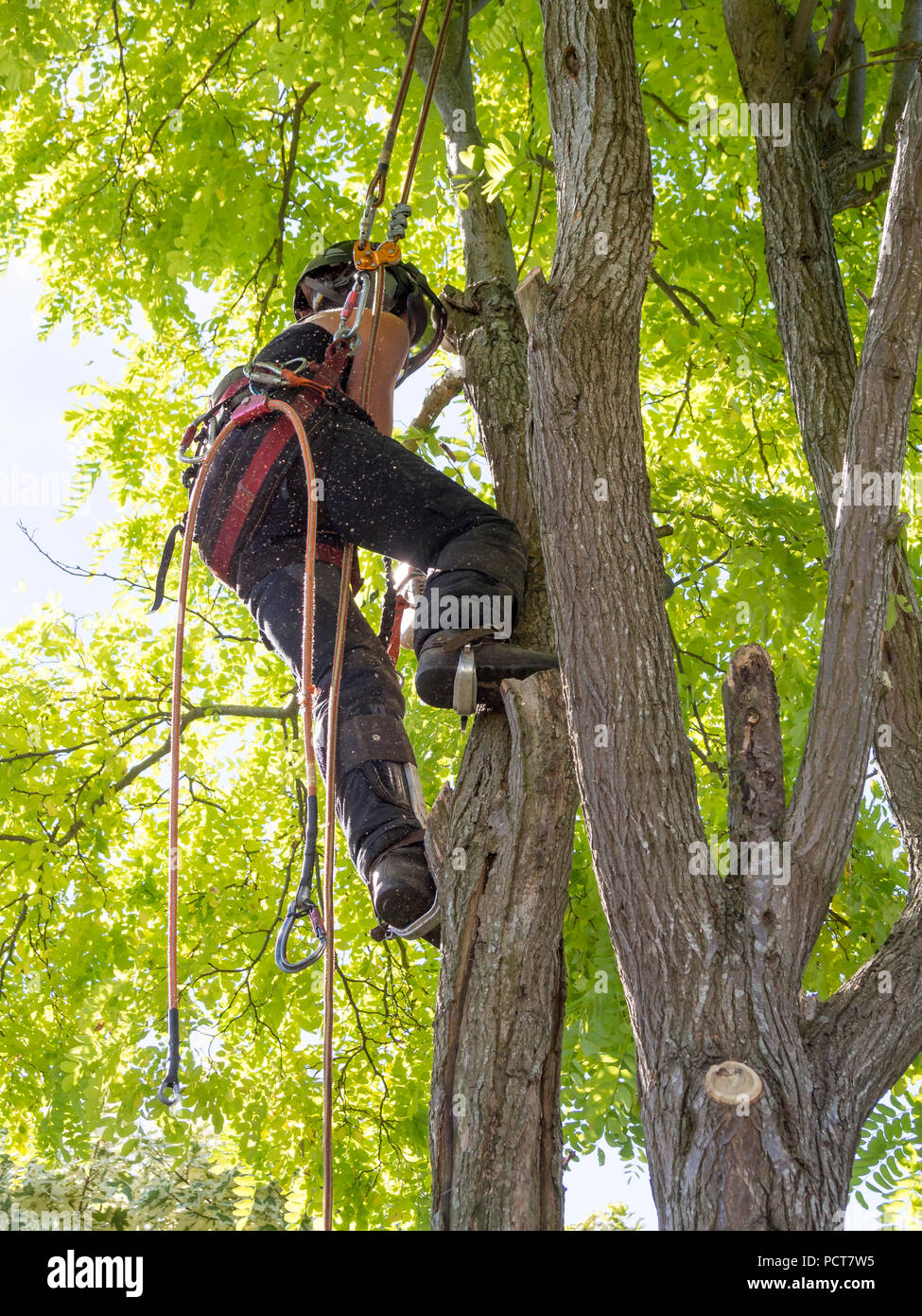 How To Use A Chainsaw Safely High Resolution Stock Photography and ...