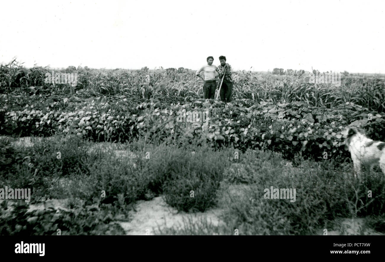 Two People Standing in Field with Tools 1936-1946 Stock Photo - Alamy