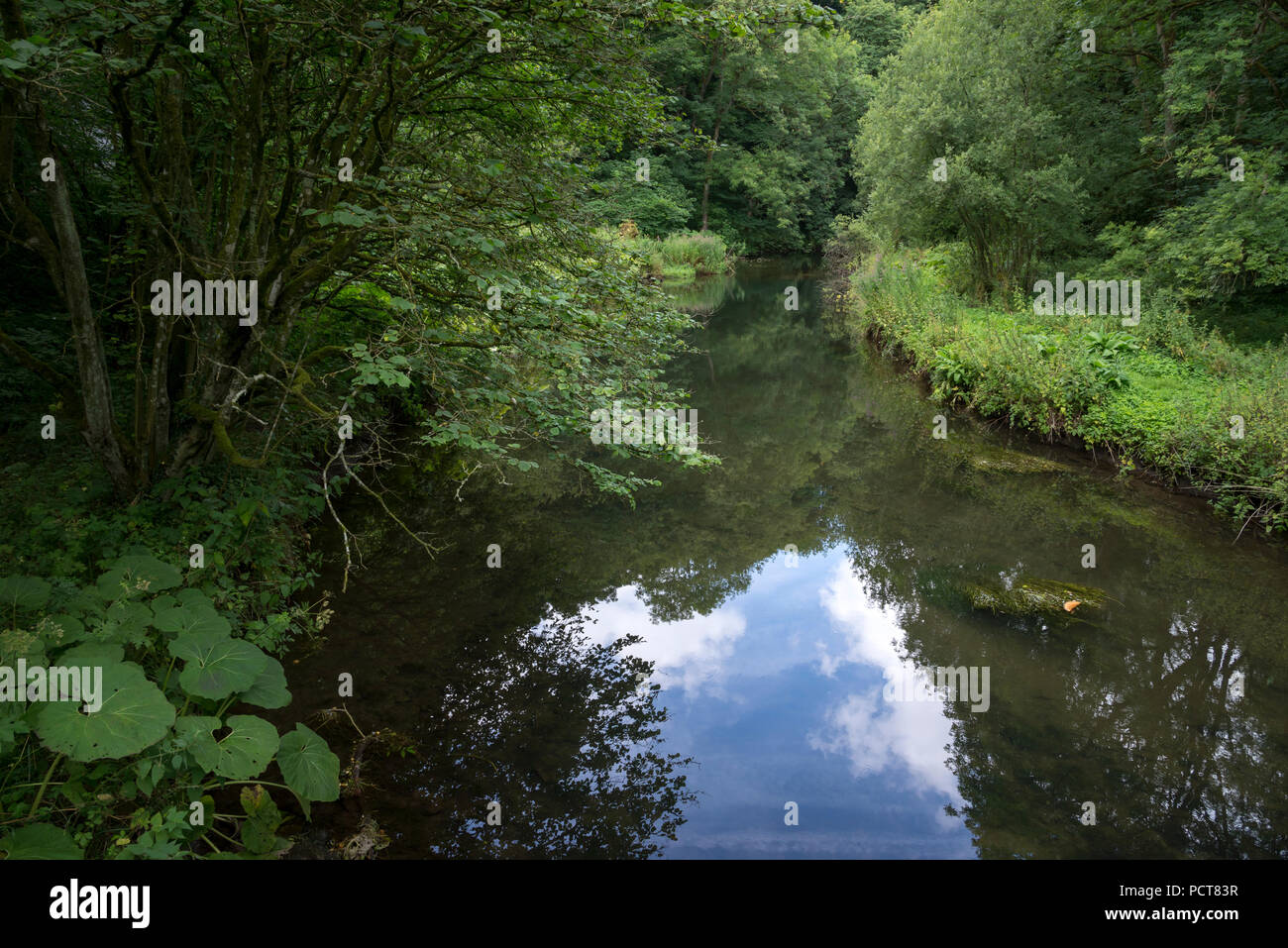 The river Wye at Litton Mill near Buxton in the Peak District national ...