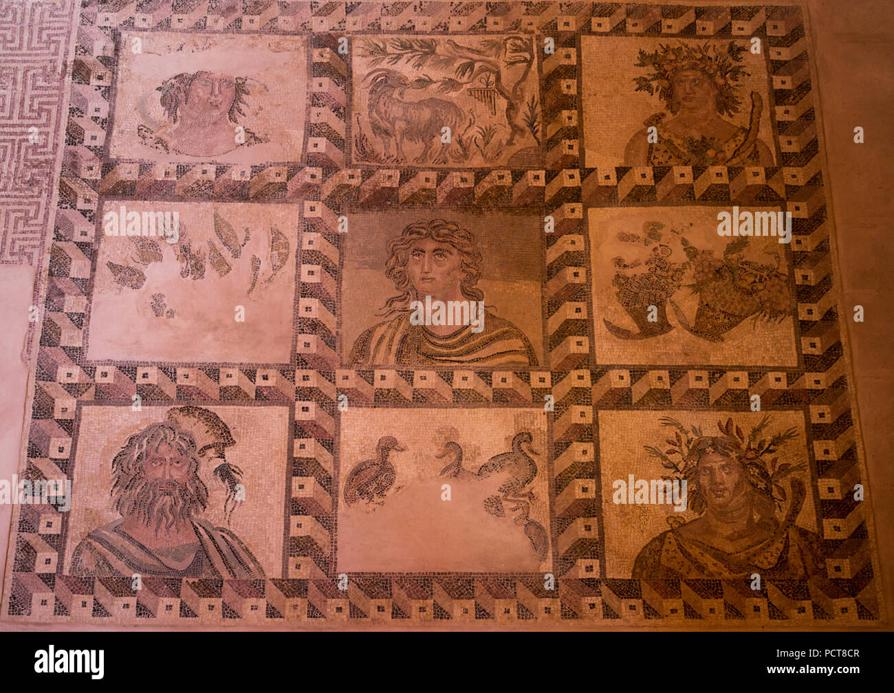 A floor mosaic inside of the House of Dionysos, Paphos Archaeological ...