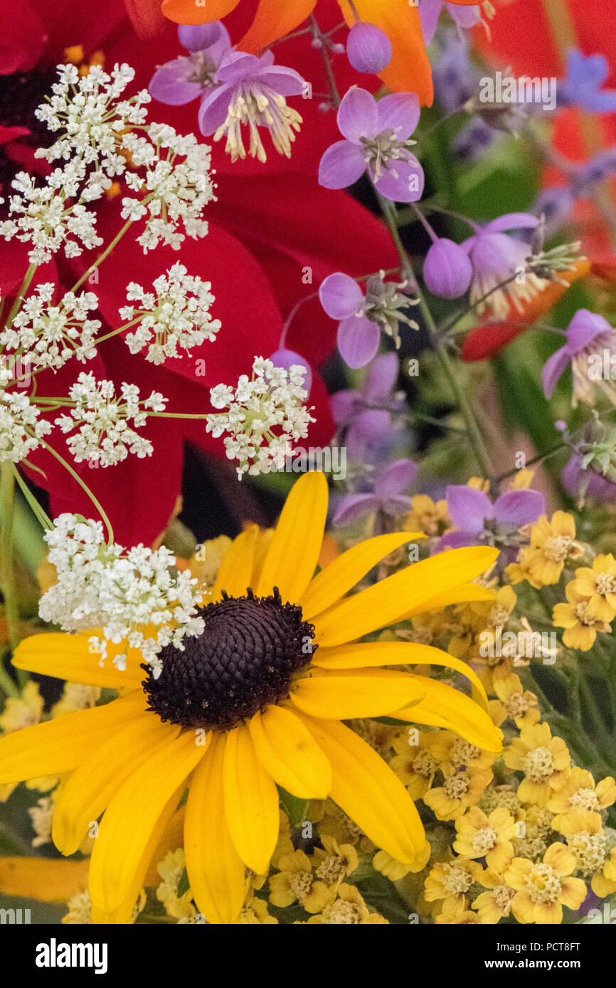 beautiful summer mixed flowers arrangement arranged in a show for ...