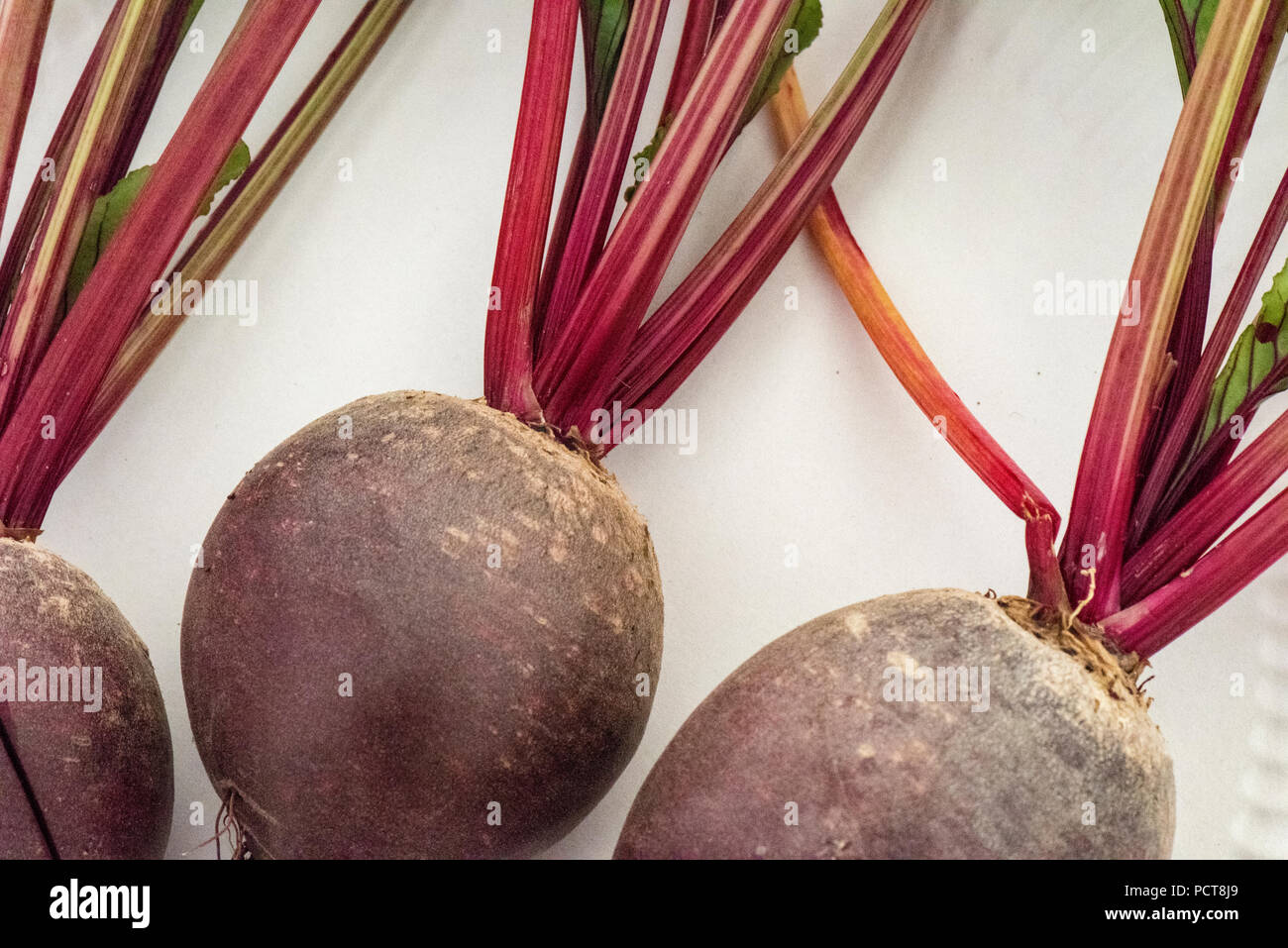 Seasonal menus hi-res stock photography and images - Alamy