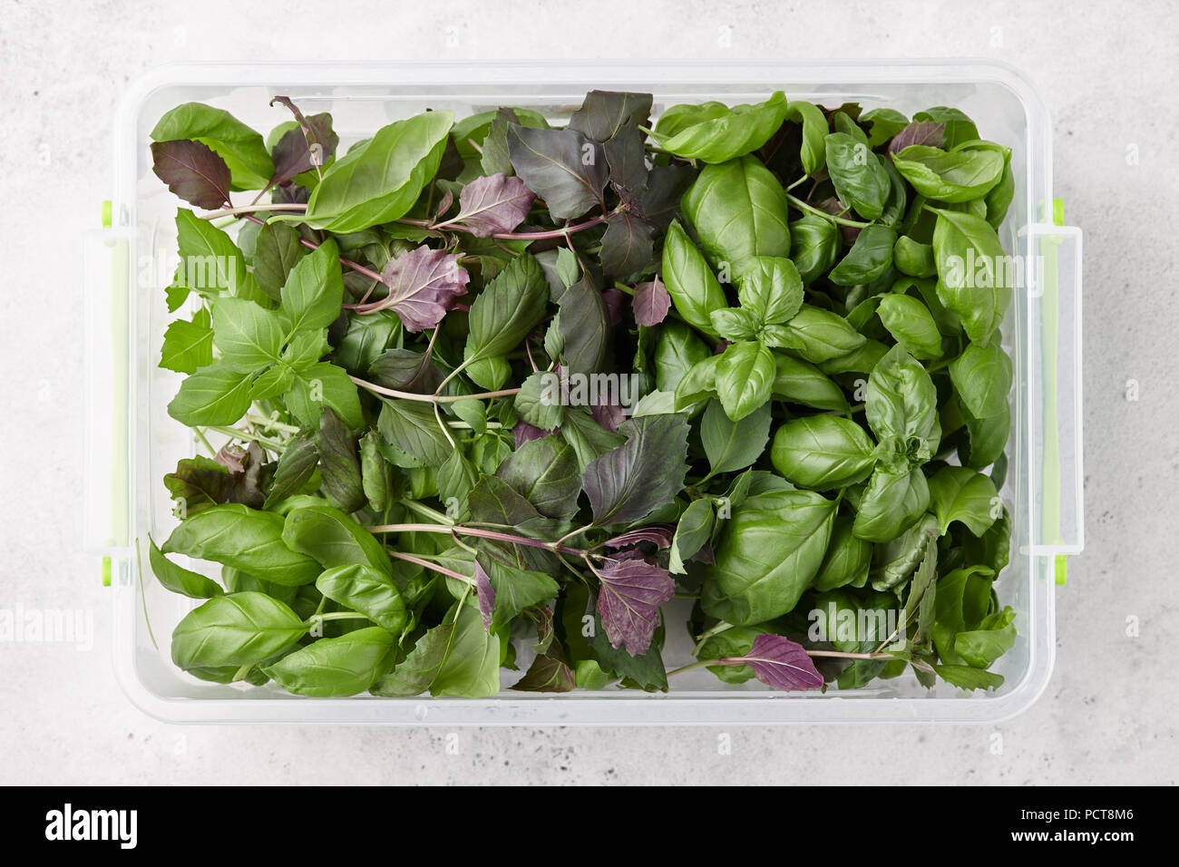 Different kinds of fresh basil leaves in big plastic box, top view ...