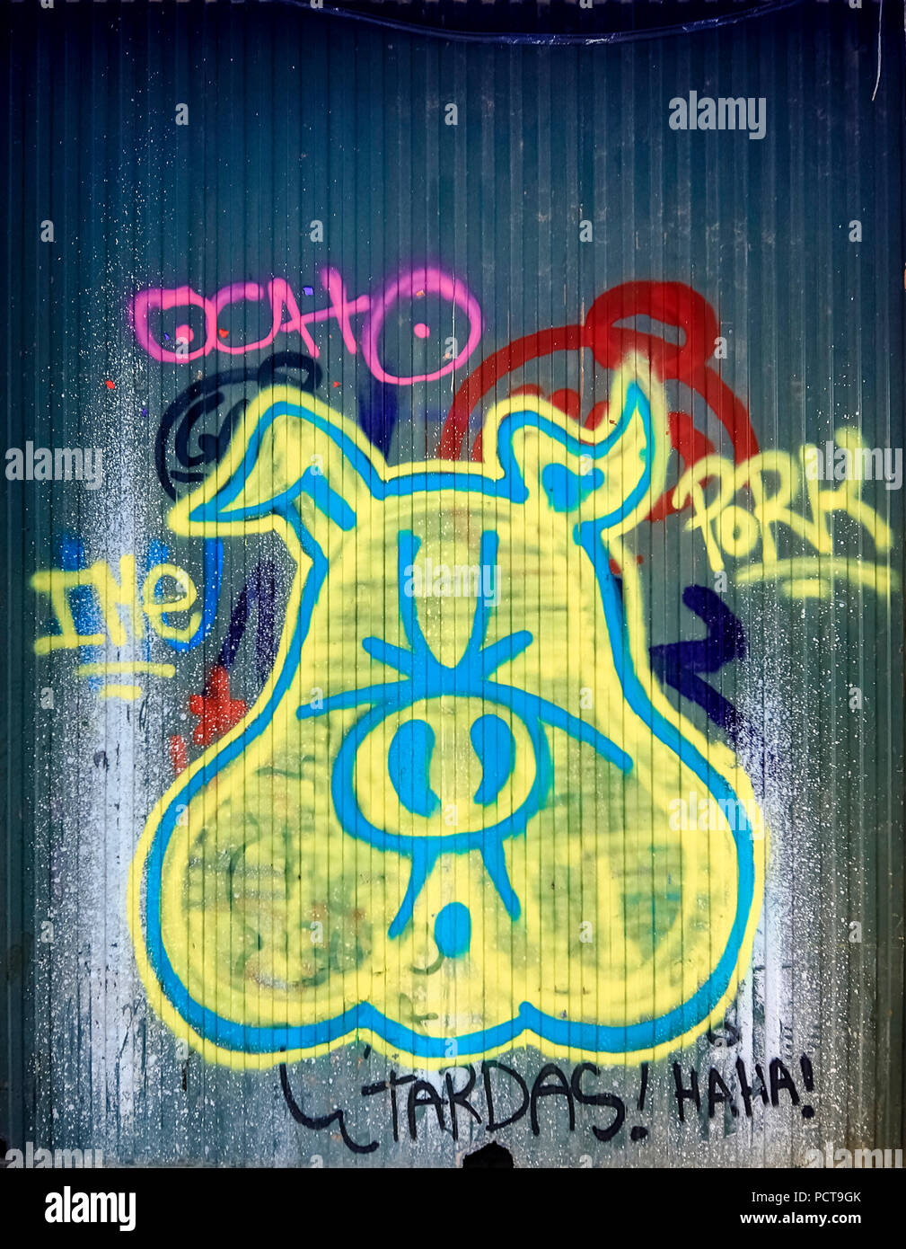 Pig's head graffiti on a shop gate in the old town of Girona, Catalonia ...