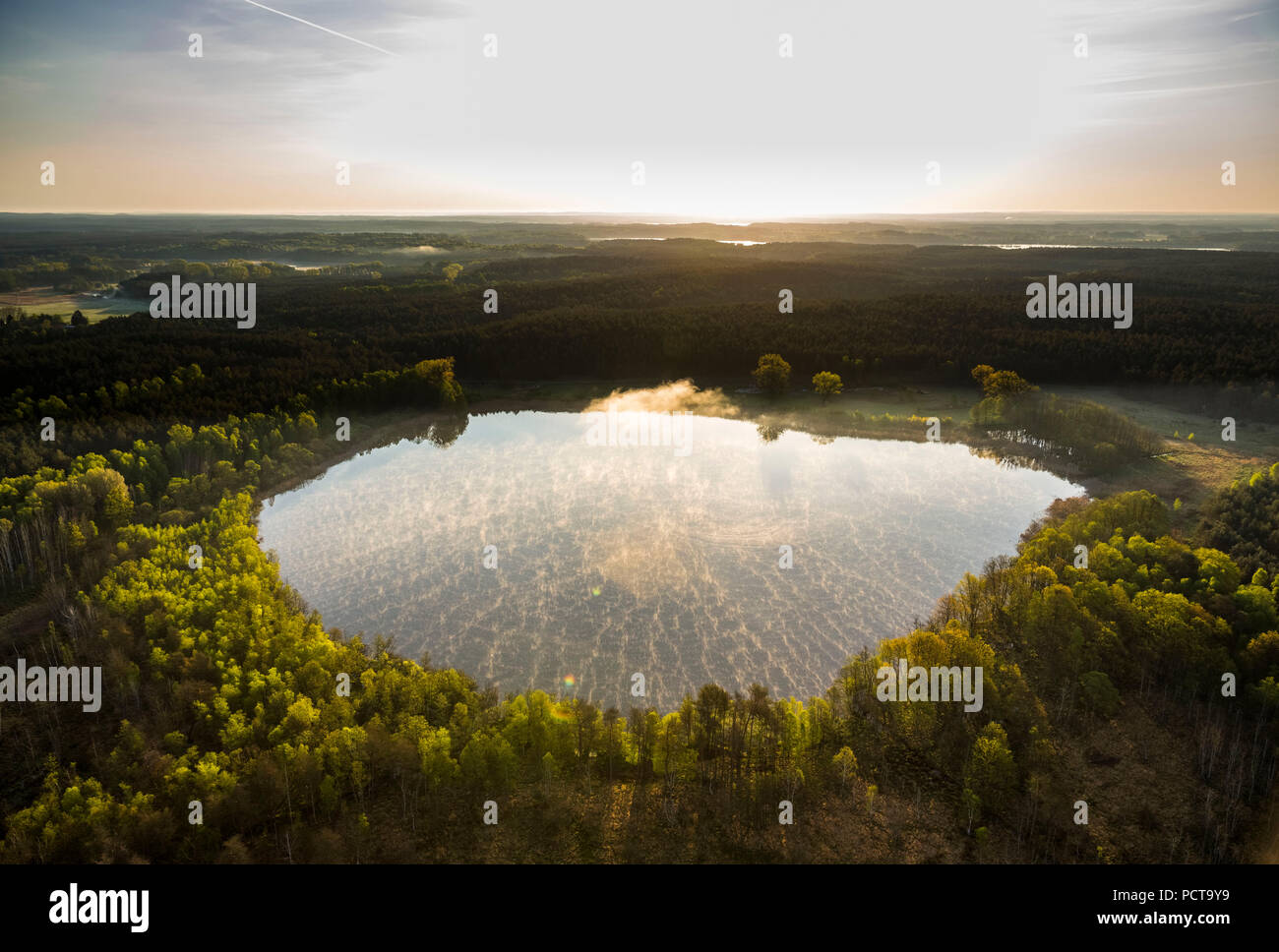 Lake Roter See with fog, morning mood, sunrise, Roggentin, Mecklenburg ...
