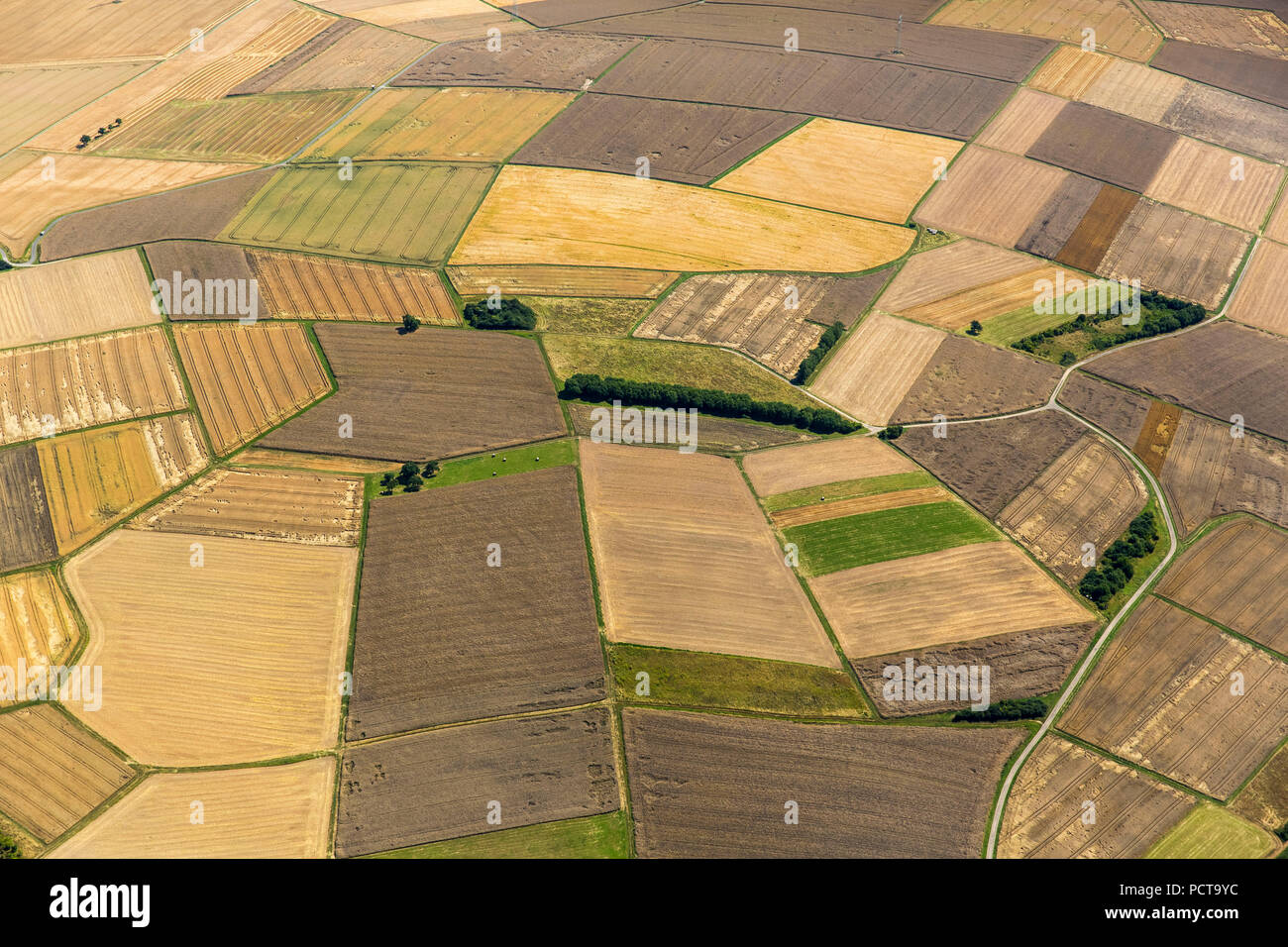 Division small fields hi-res stock photography and images - Alamy