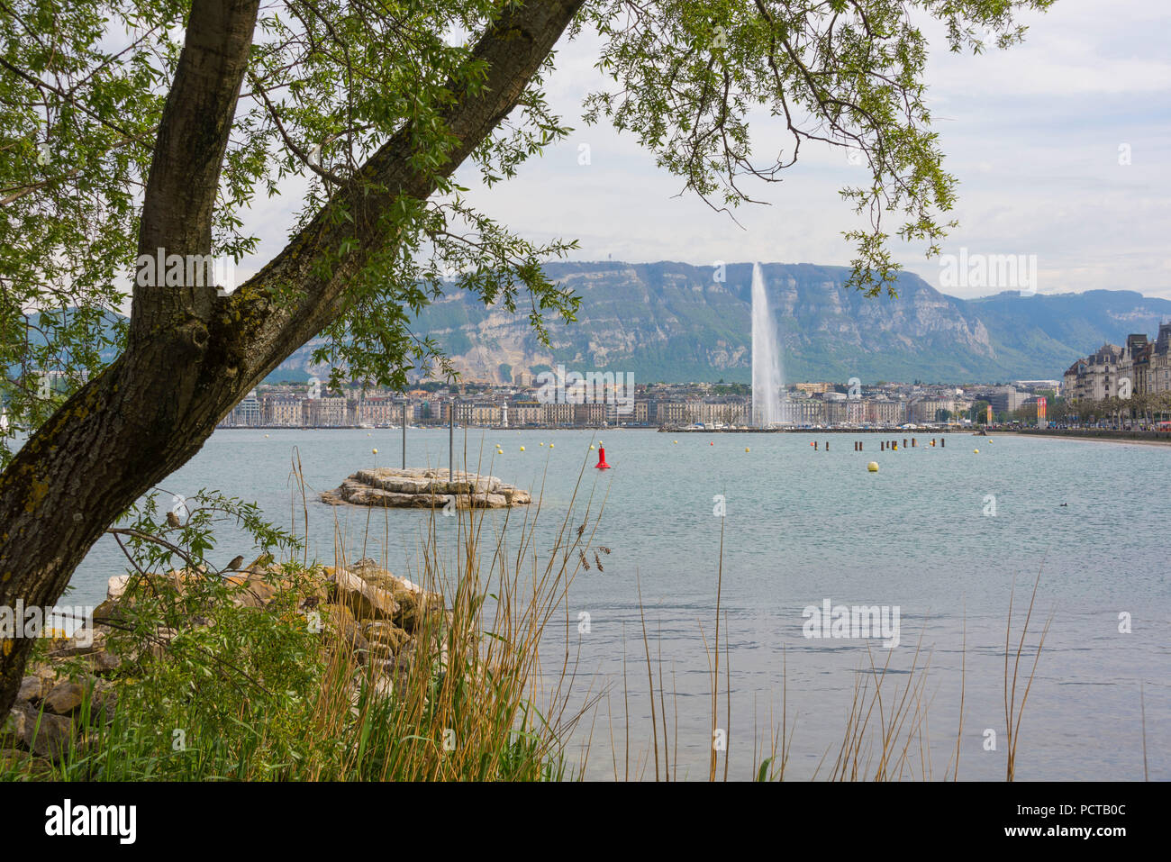 View of lake with fountain Jet d'eau in front of waterfront, Geneva ...
