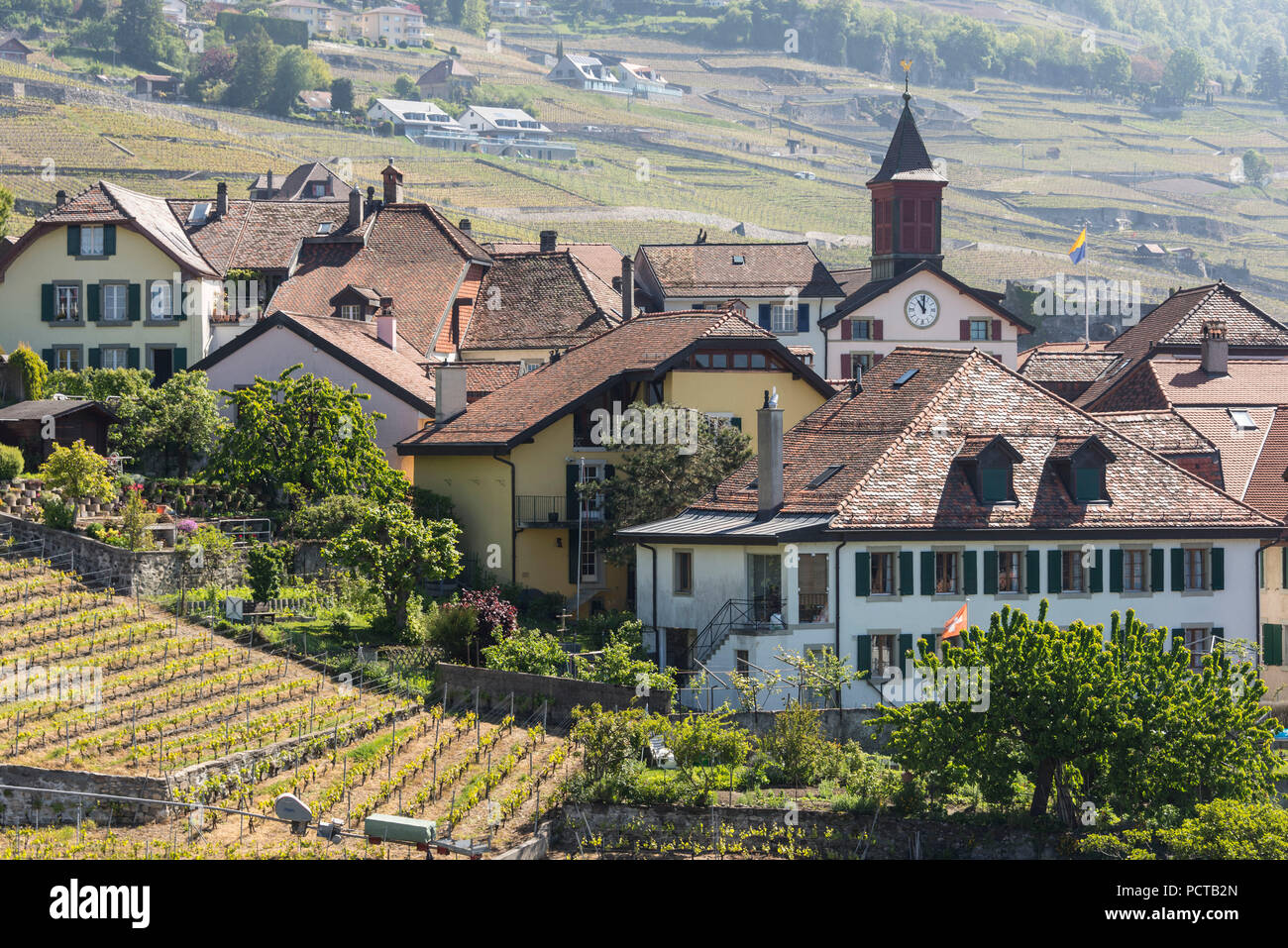 Wine terraces and wine village rivaz in lavaux hi-res stock photography ...