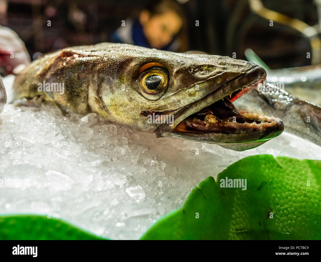 Market hall Mercat de Boqueria in Barcelona, ??fish Stock Photo - Alamy