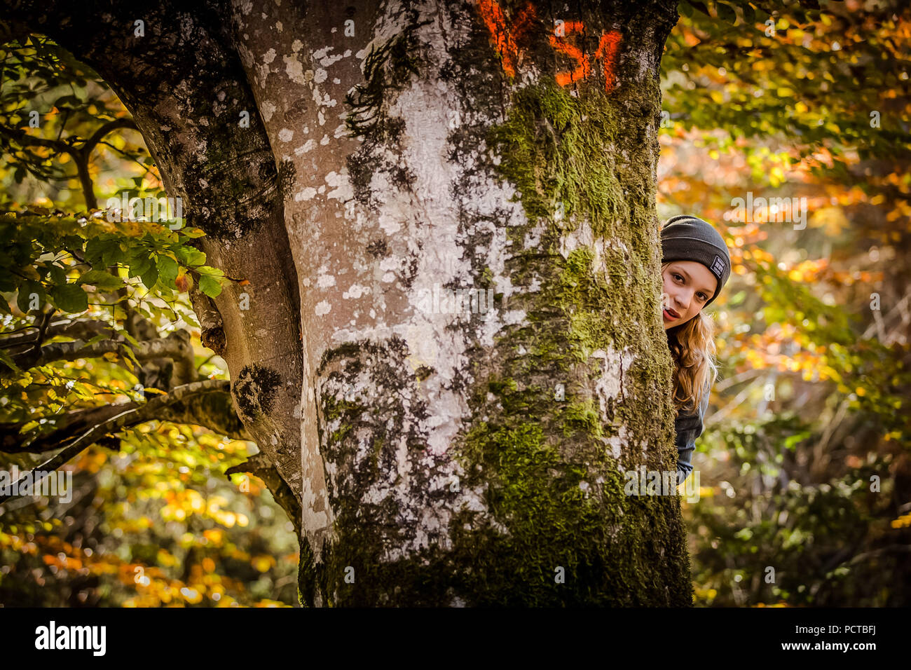 Young girl in autumn forest looking from behind tree into the camera ...