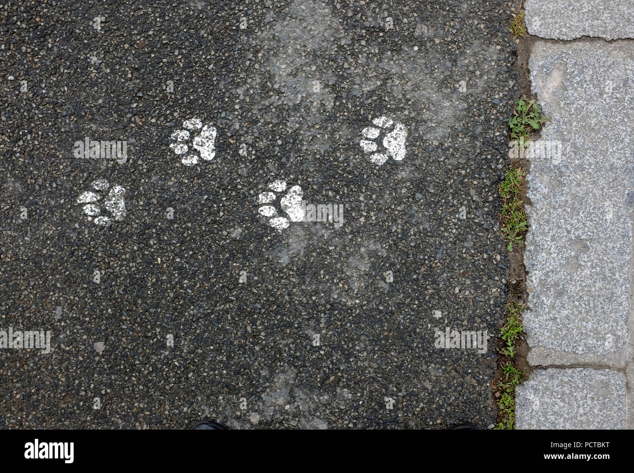 Dog tracks hi-res stock photography and images - Alamy