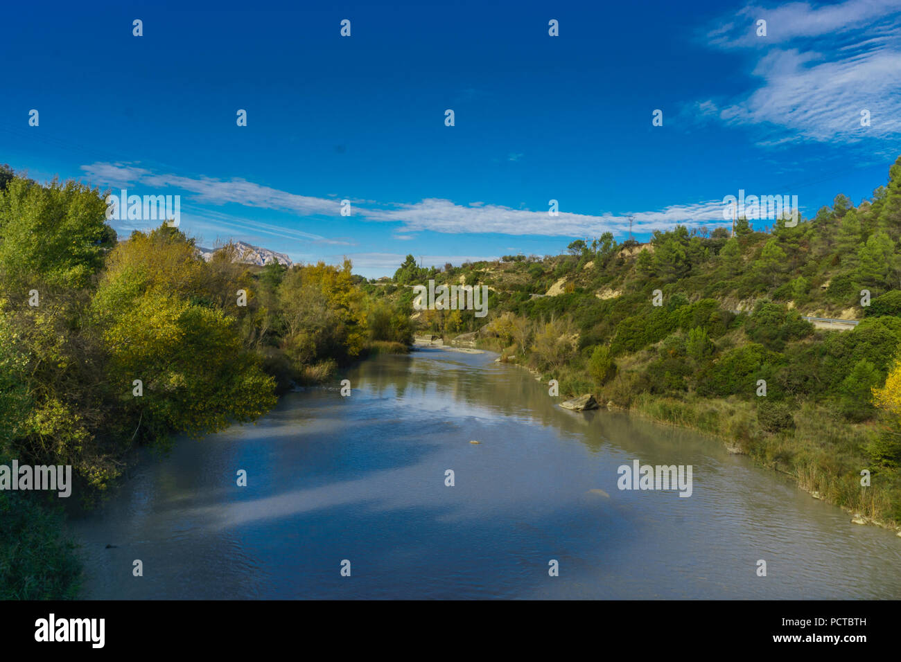 beautiful landscape of nature with bright colors and trees and a clear ...