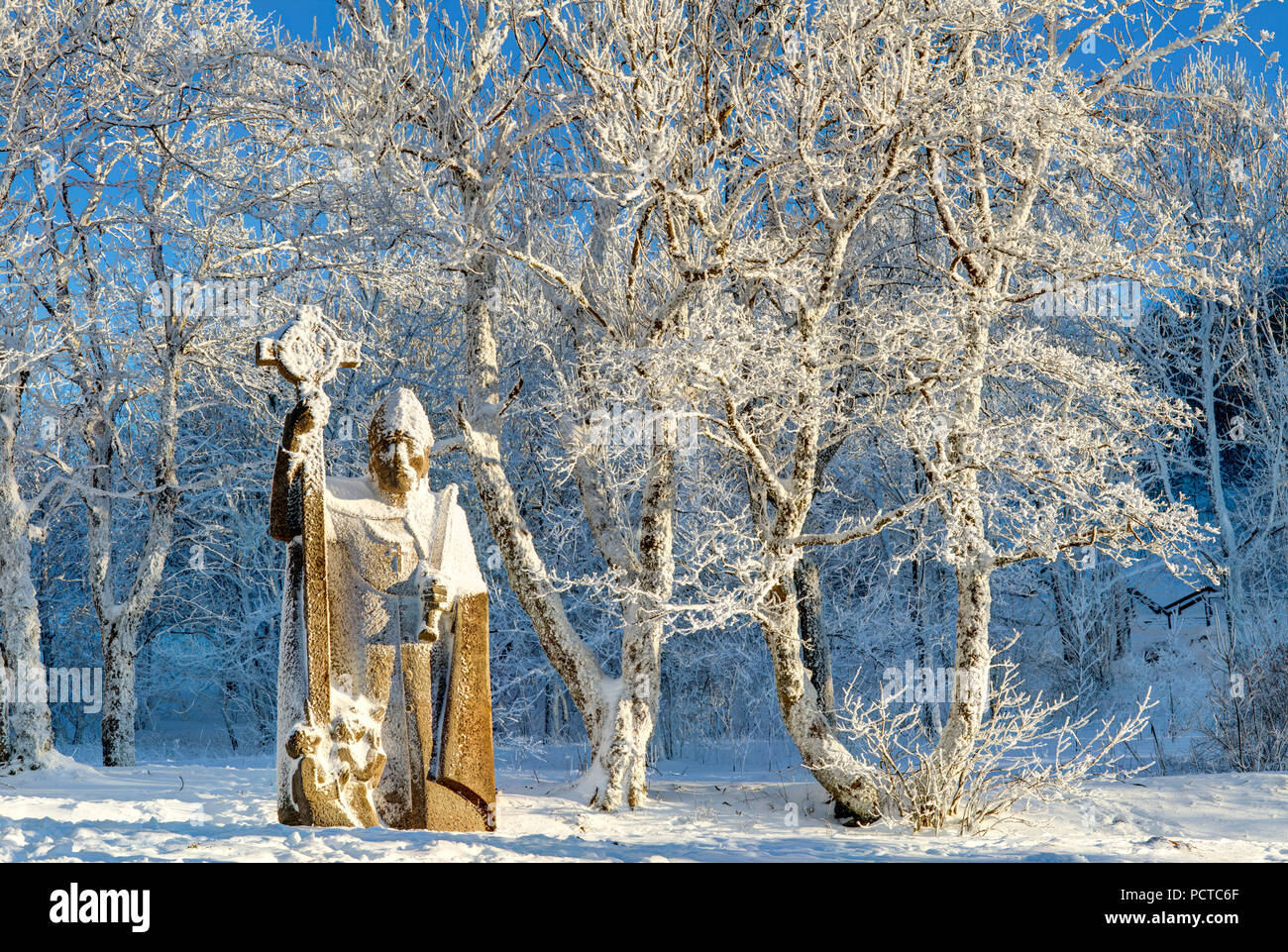 St. Kilian Statue, Kreuzberg Monastery, Kreuzberg, Bischofsheim an der ...