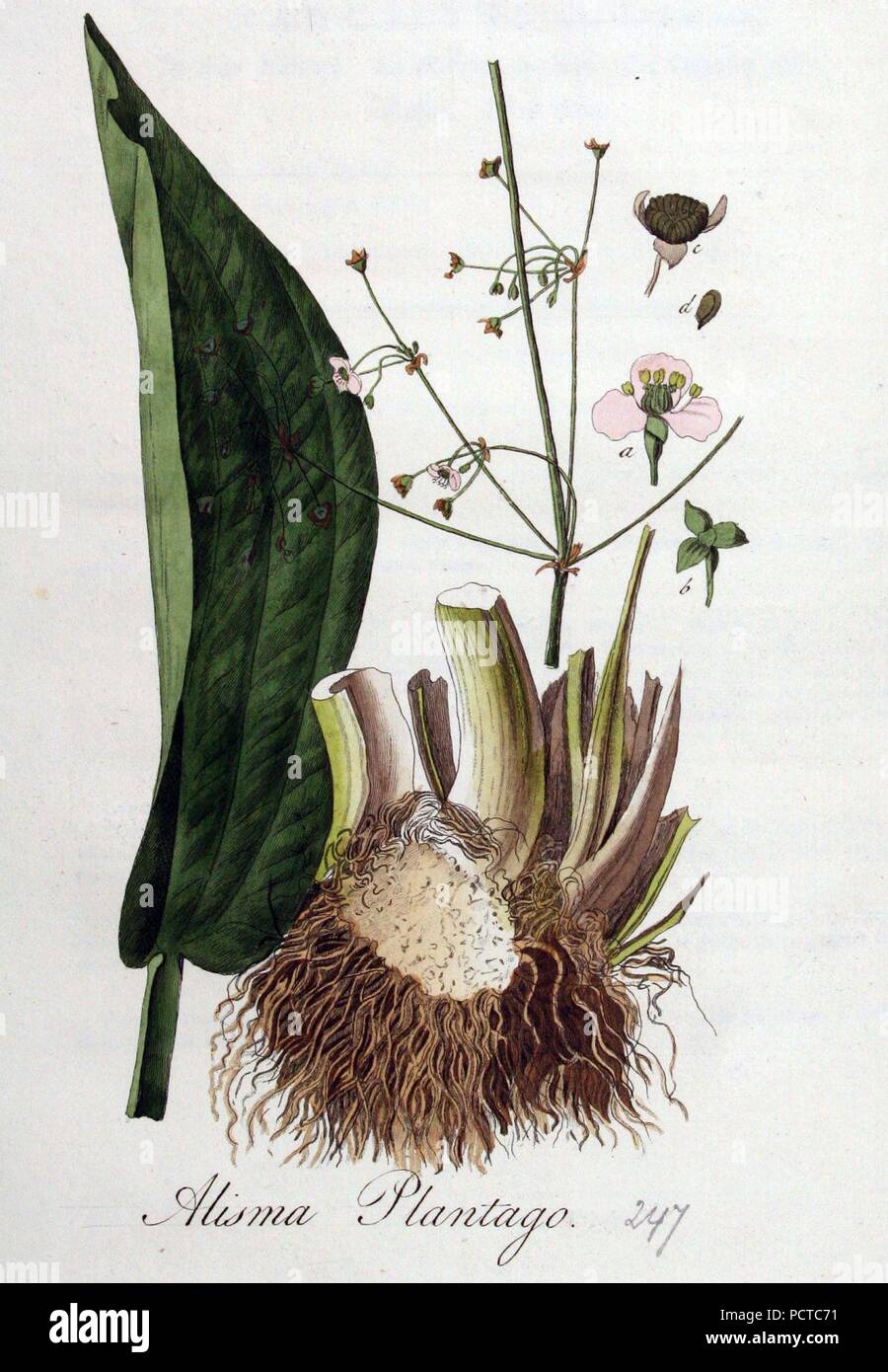 V4 hi-res stock photography and images - Alamy