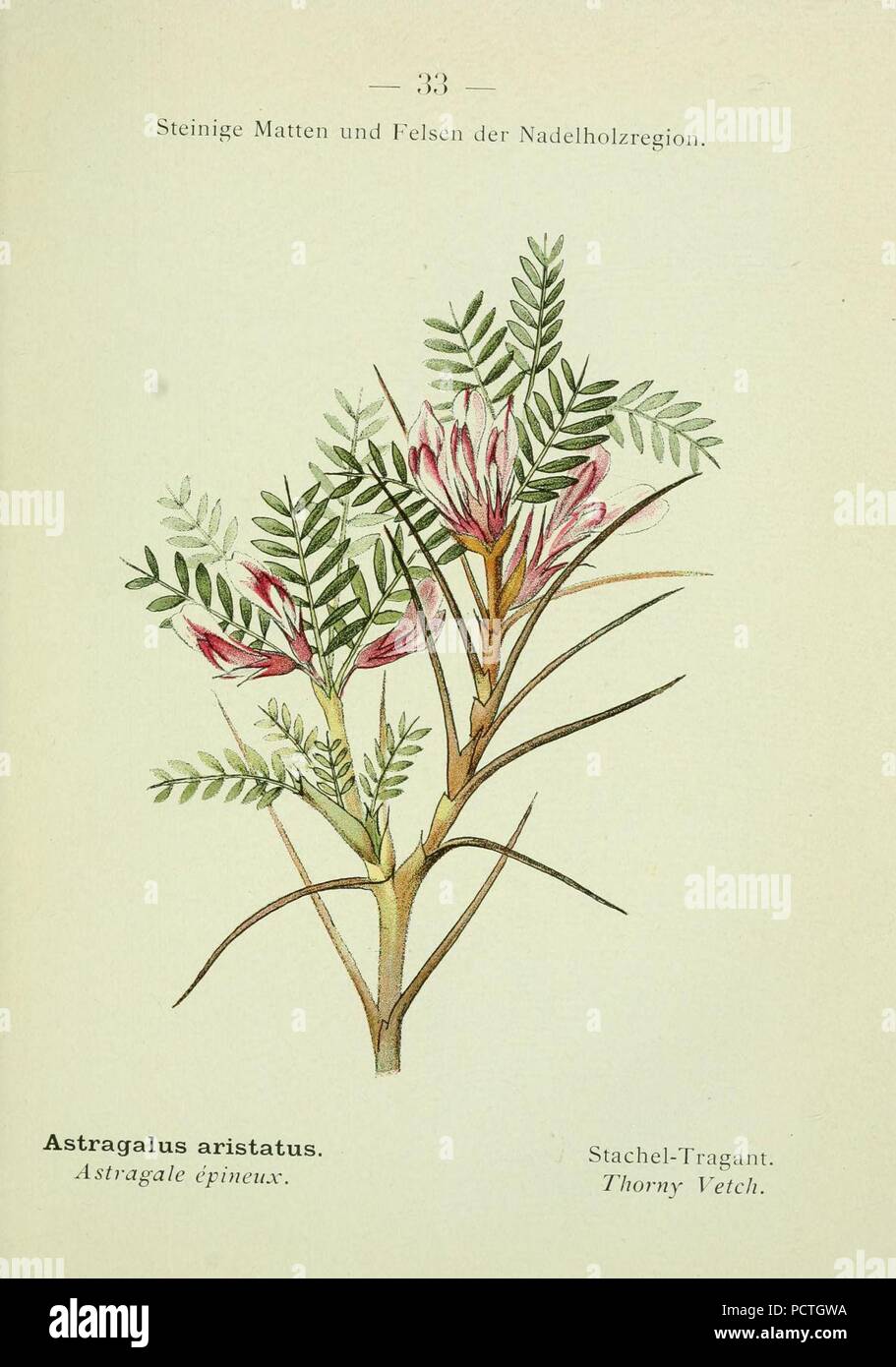 See page 66 hi-res stock photography and images - Alamy