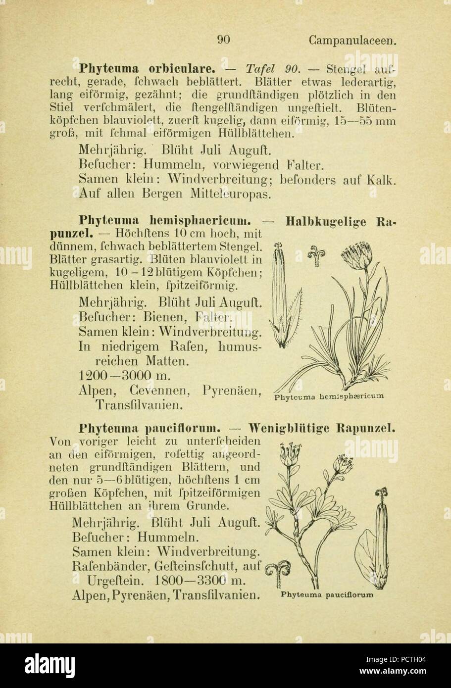 180 page hi-res stock photography and images - Alamy