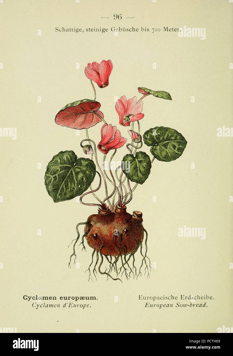 191 page hi-res stock photography and images - Alamy