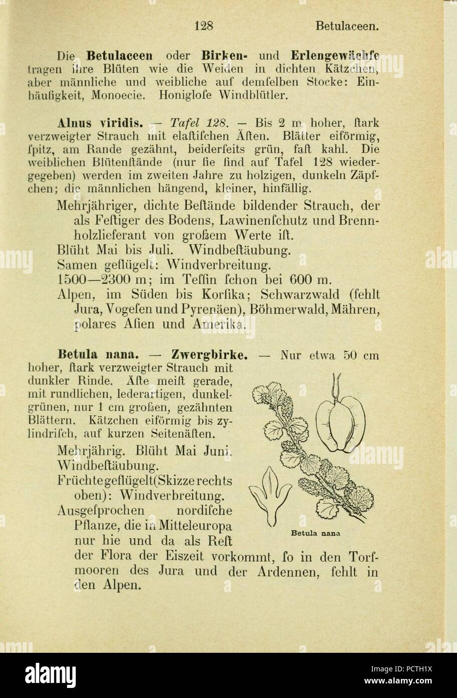 Alpen-Flora (Page 256 Stock Photo - Alamy