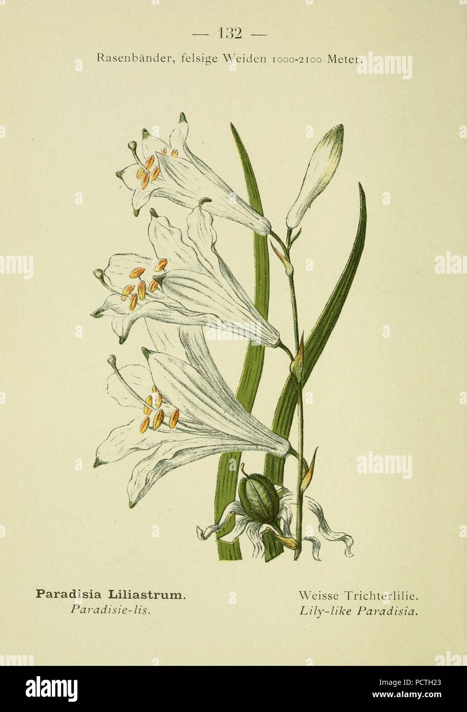 Page 263 hi-res stock photography and images - Alamy