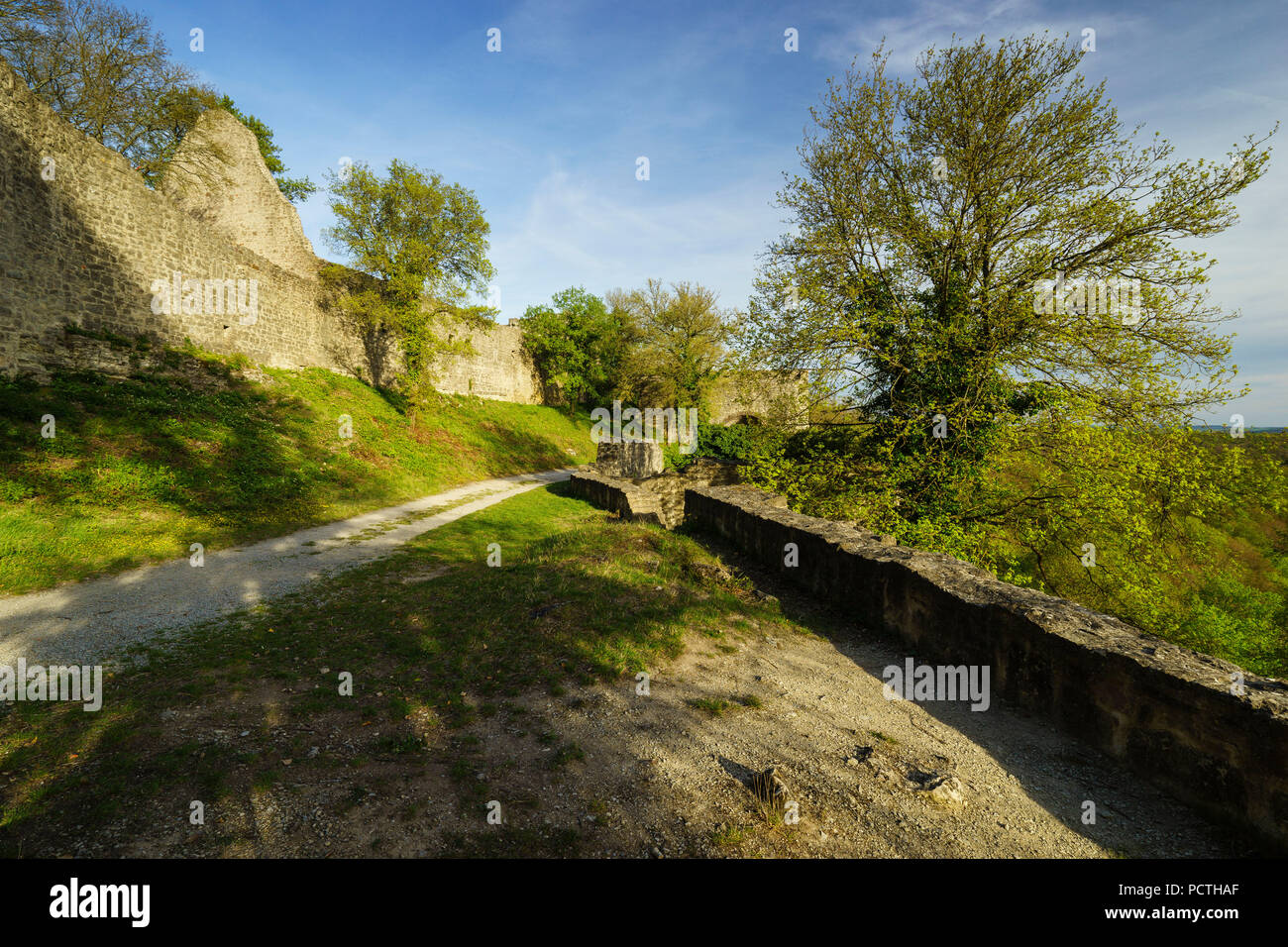 Homburg castle ruin and nature reserve ruin homburg hi-res stock ...