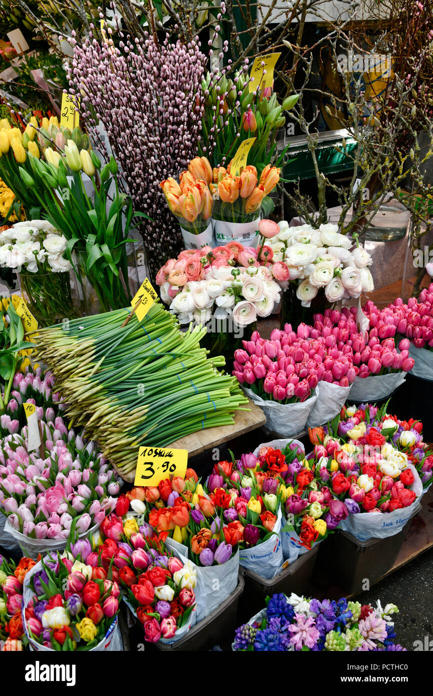 Market at carlsplatz hi-res stock photography and images - Alamy