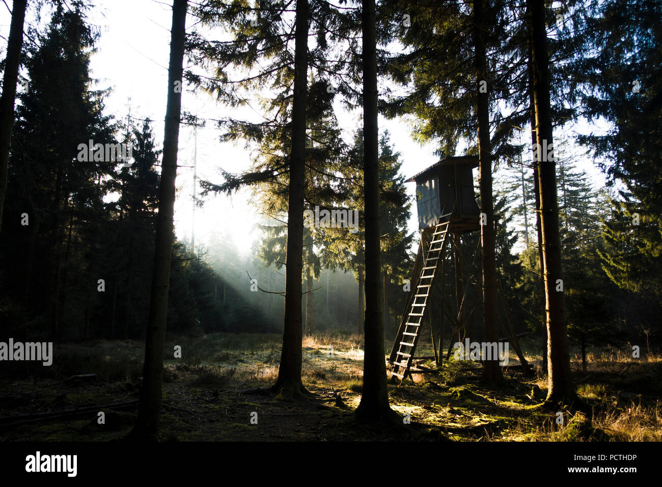 Hide animal park hi-res stock photography and images - Alamy