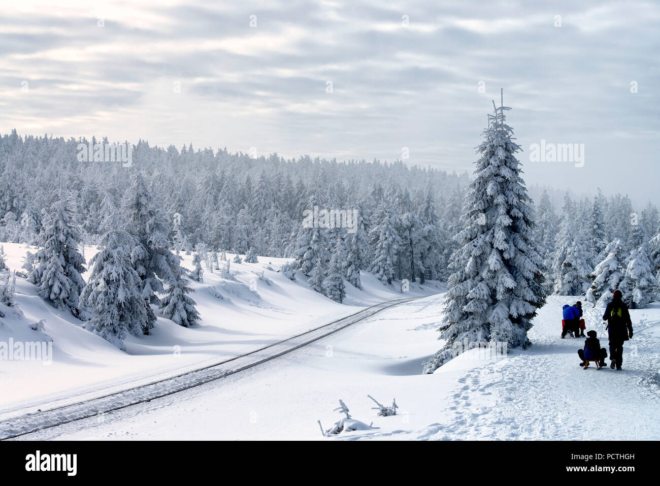 Winter landscape at the new Goetheweg, Harz, Saxony-Anhalt, Germany ...