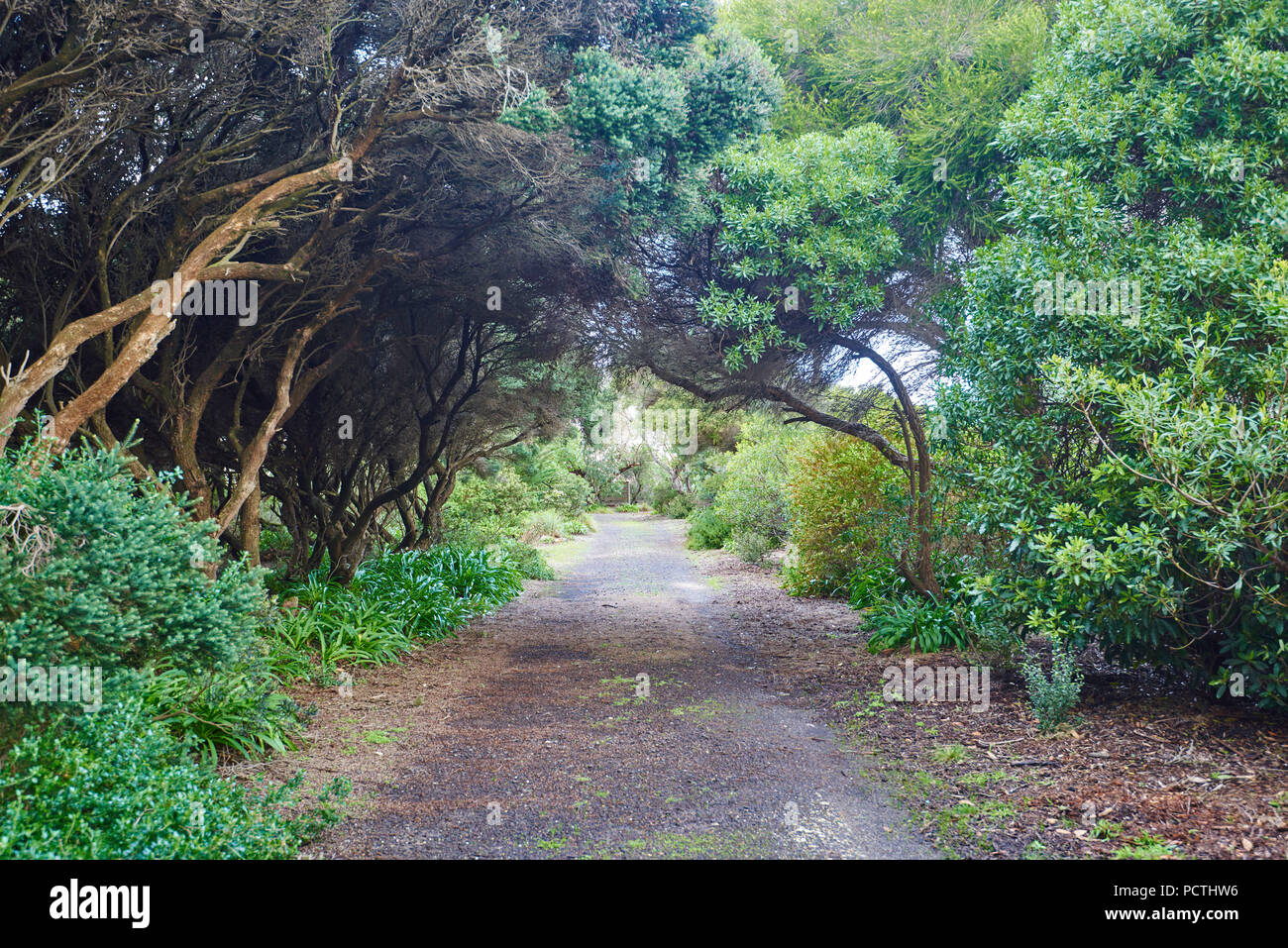 Travel through the jungle hi-res stock photography and images - Alamy