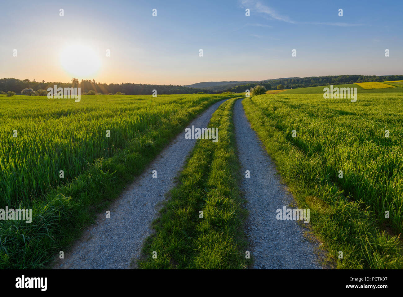 Grain direction hi-res stock photography and images - Alamy