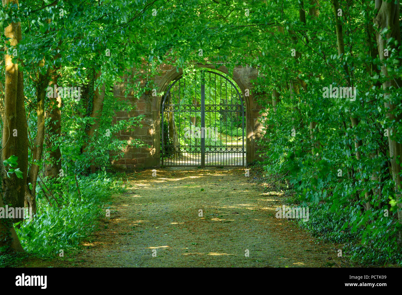 Schloss philippseich hi-res stock photography and images - Alamy