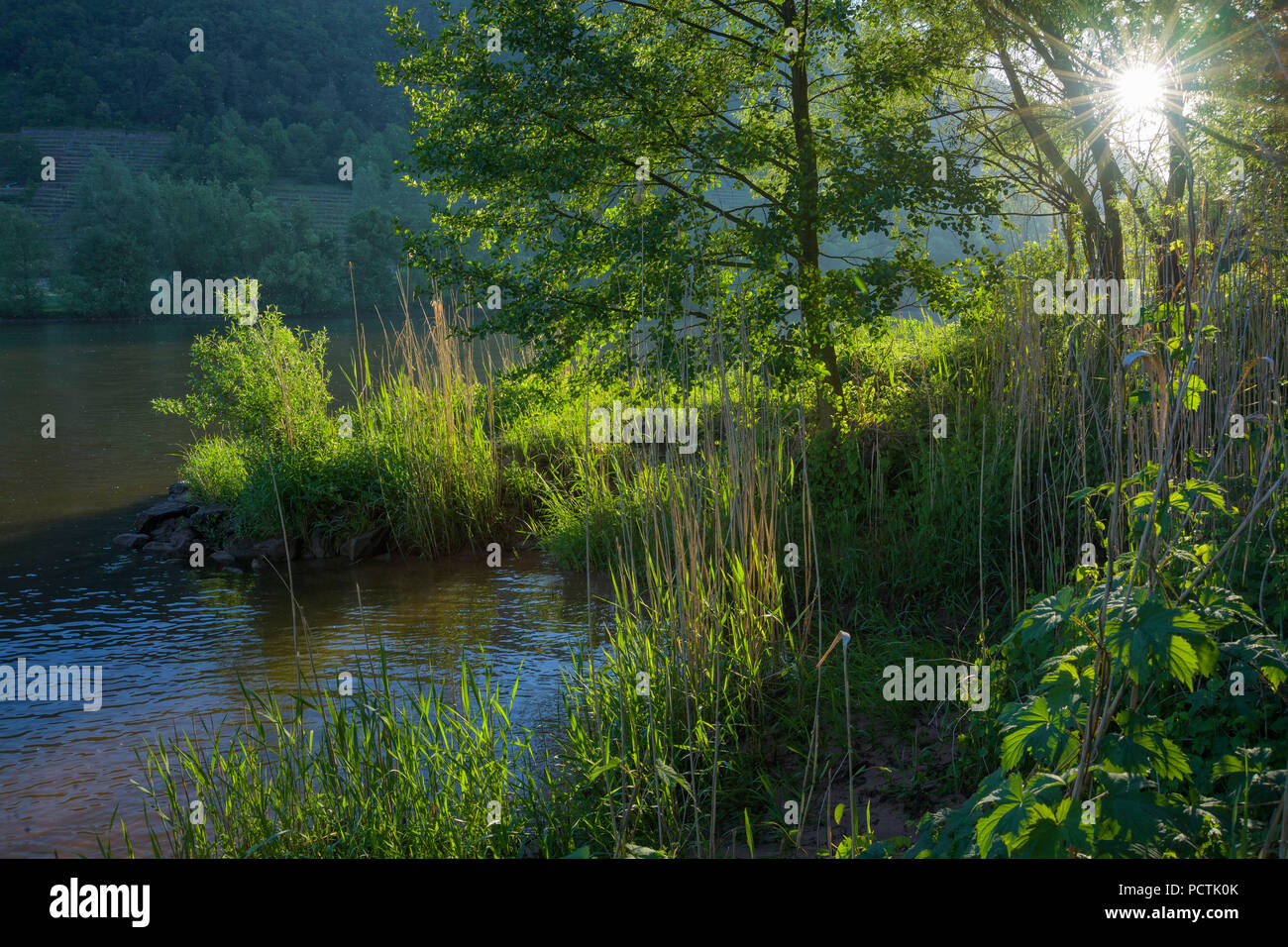 Kleinheubach hi-res stock photography and images - Alamy