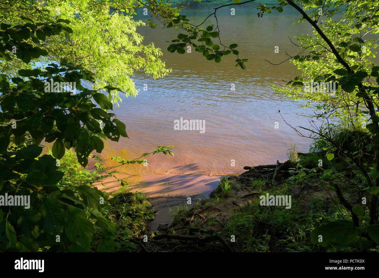 Riverside in the morning, Kleinheubach, Miltenberg, River Main ...