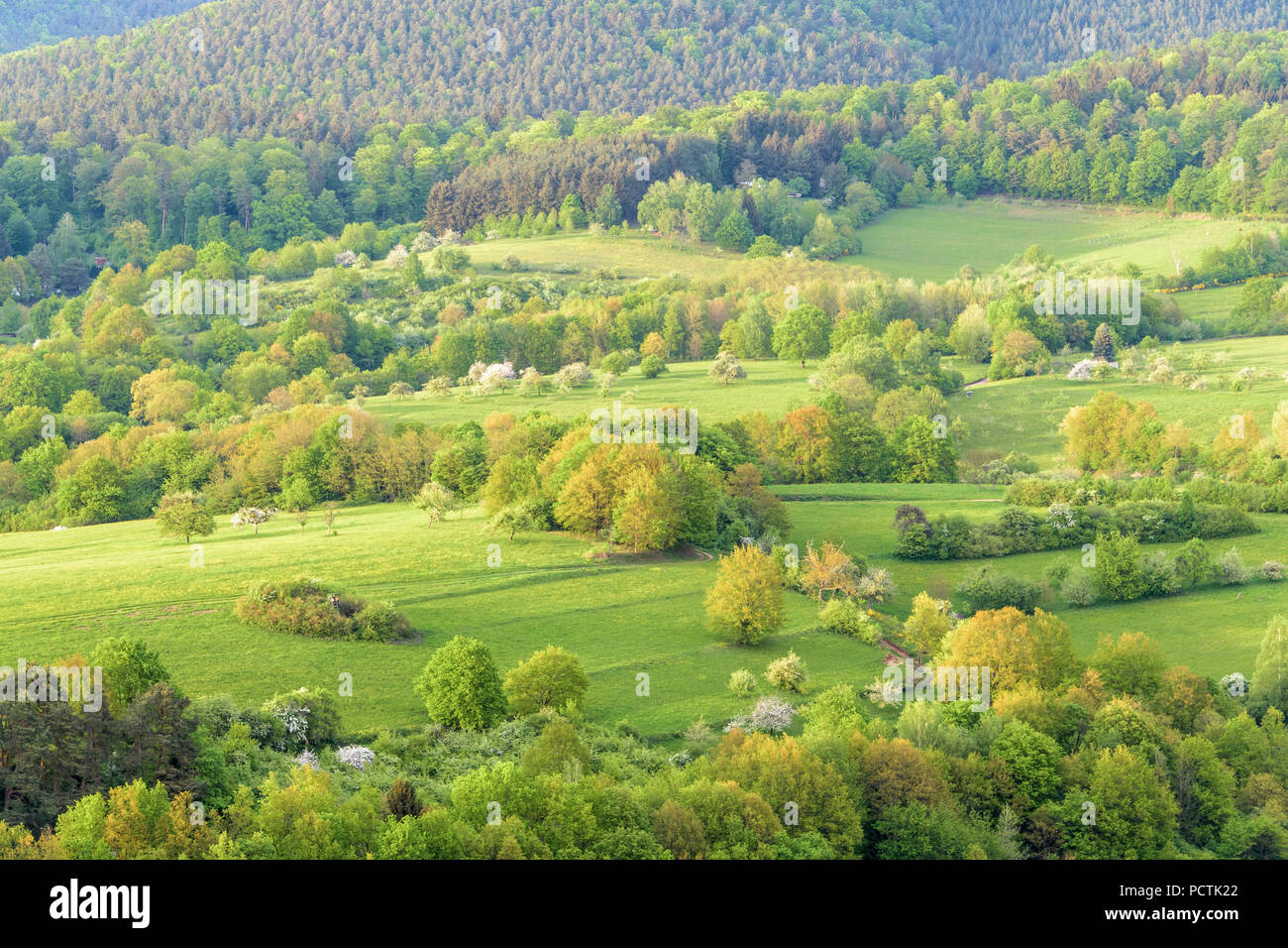 Busenberg hi-res stock photography and images - Alamy