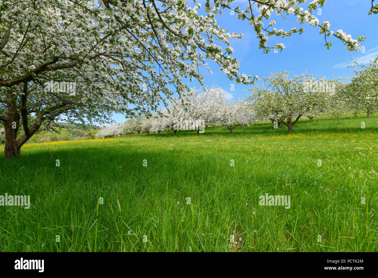 Tauberfranken hi-res stock photography and images - Alamy