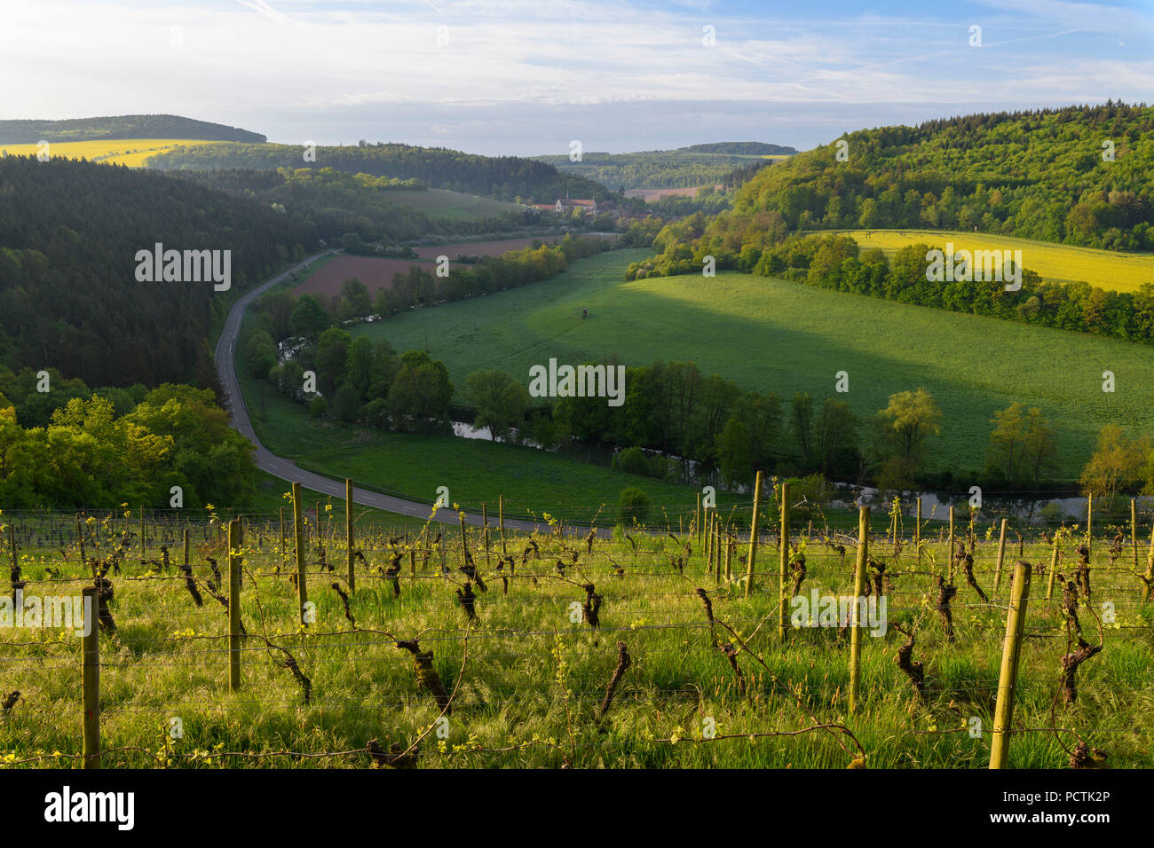 Vineyard with tauber valley and monastery bronnbach hi-res stock ...