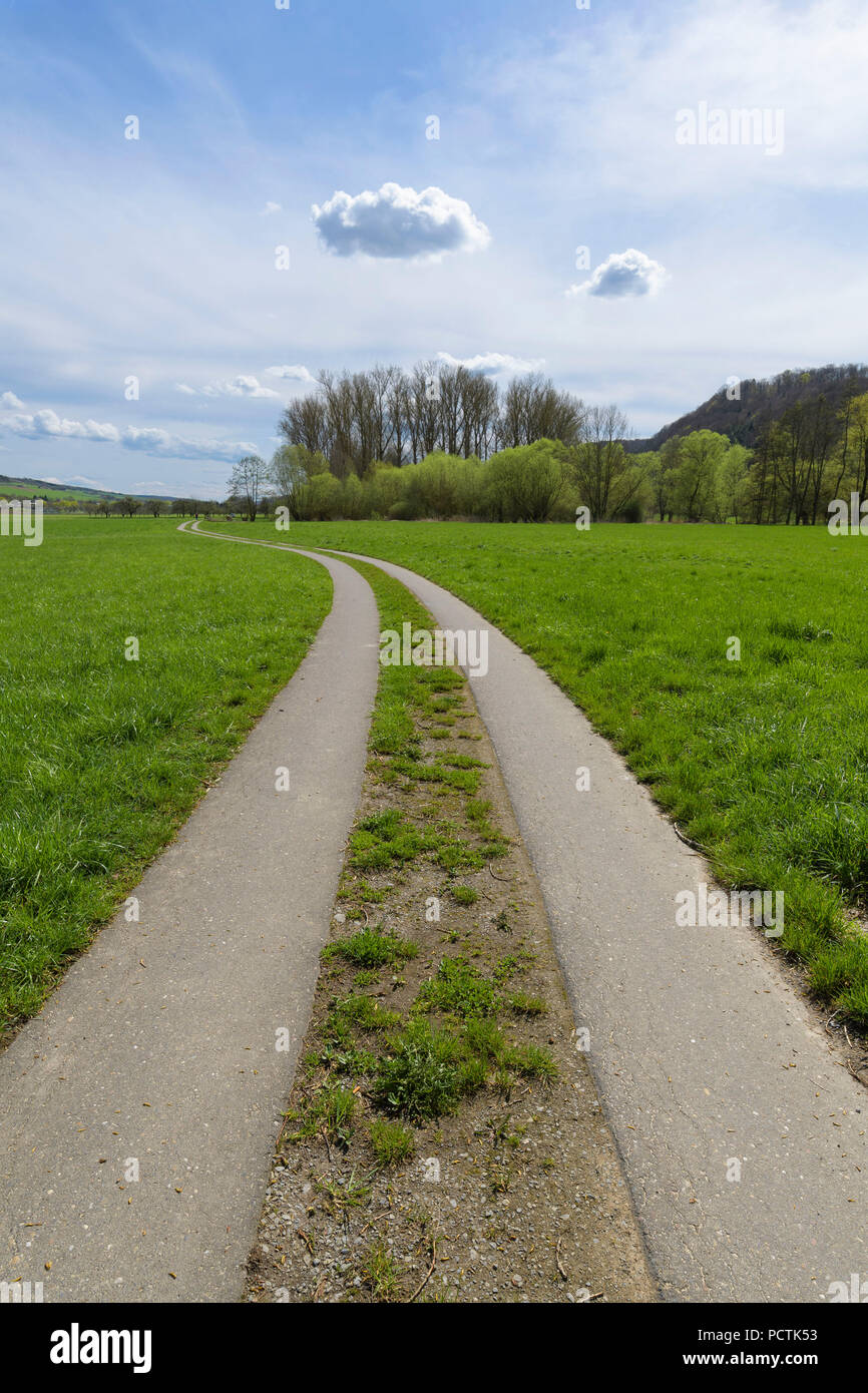 Winding dirt road between meadow in spring, Lauda-Königshofen ...