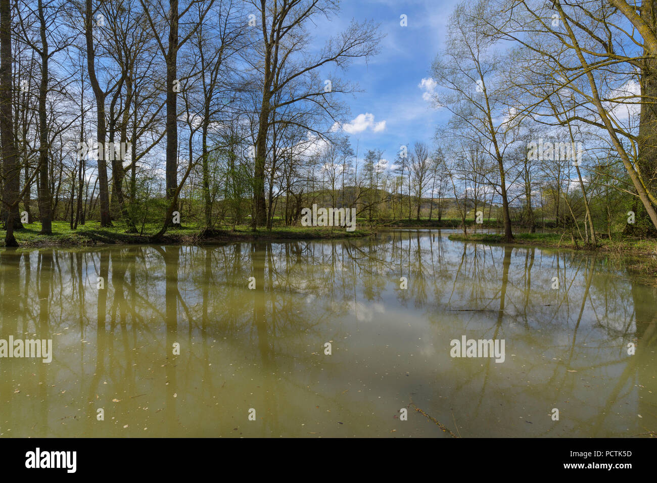 River Tauber in spring, Lauda-Königshofen, Taubertal, Tauberfranken ...