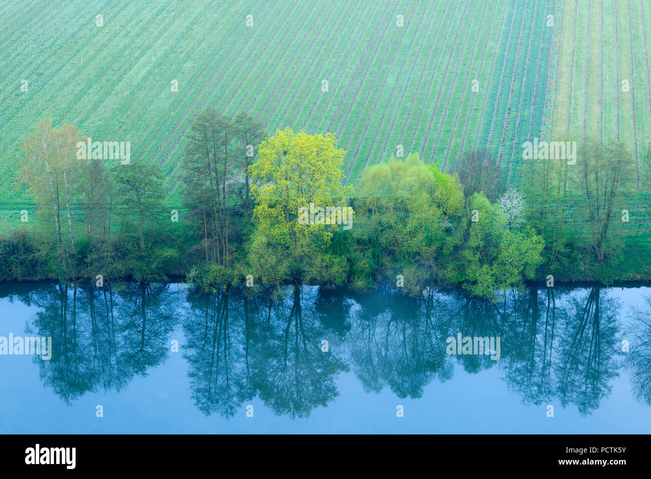 Neckar river on morning in spring hi-res stock photography and images ...