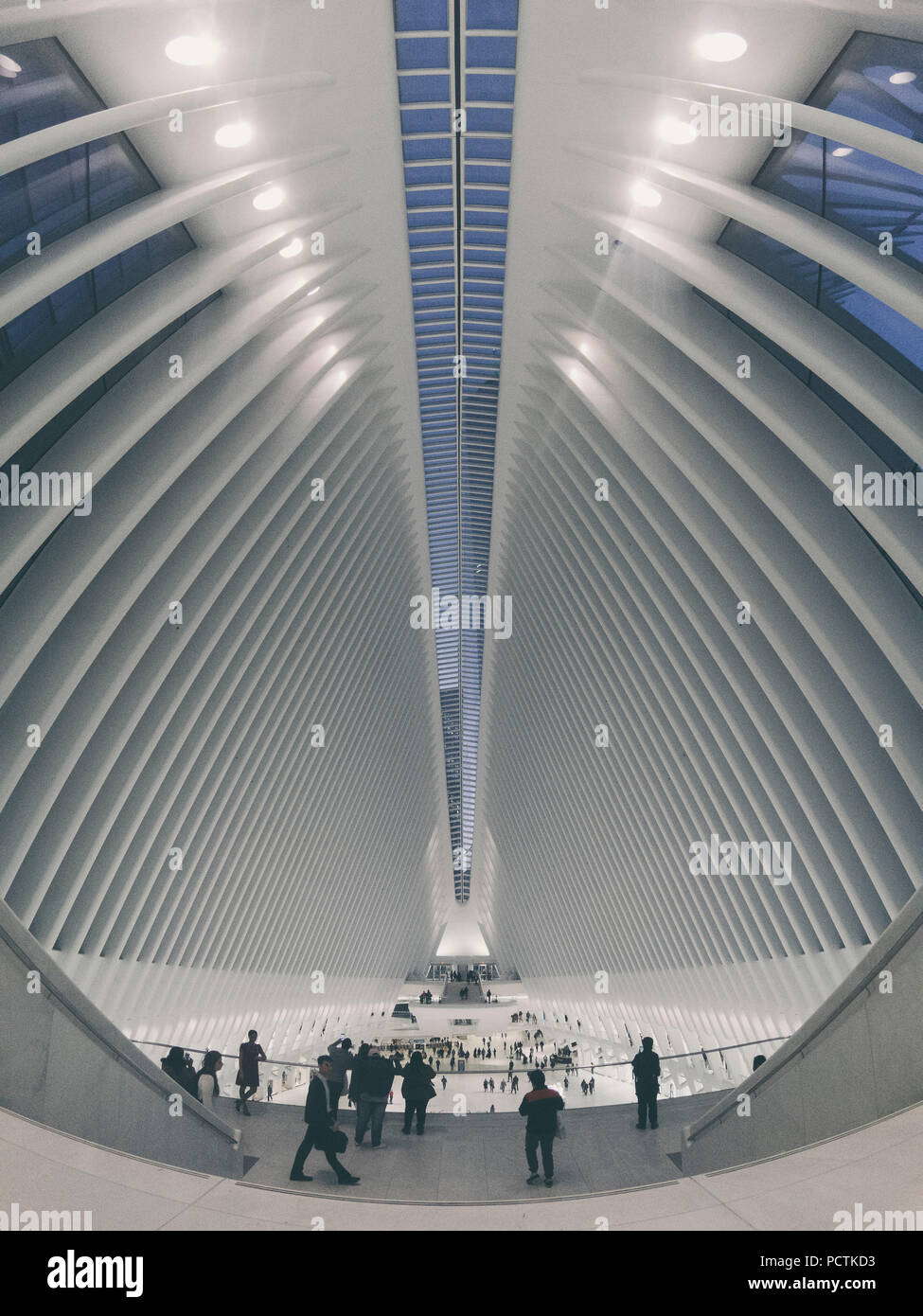 Oculus white ribs hi-res stock photography and images - Alamy