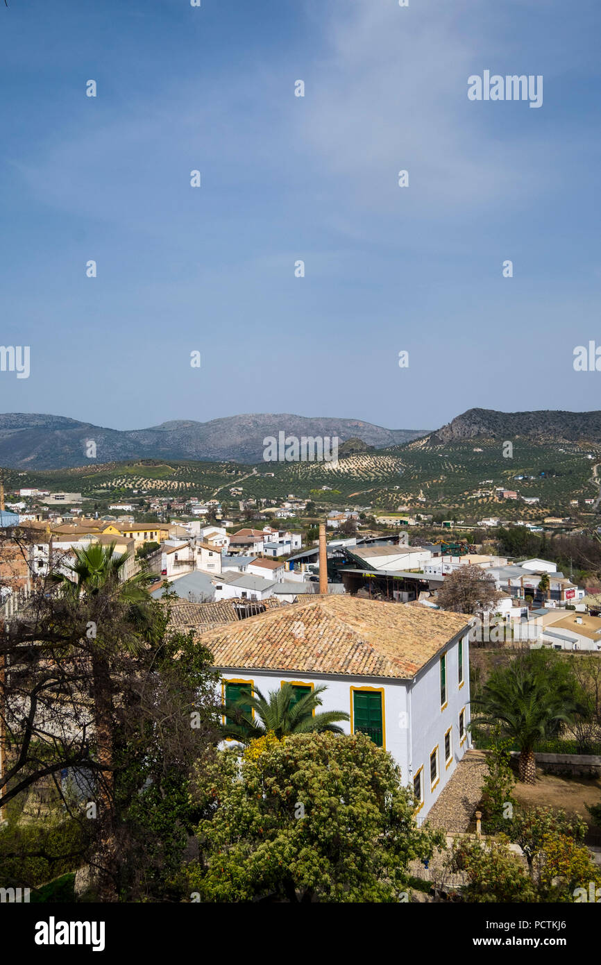 View of Priego de Cordoba and the infinite fields of olive trees in ...