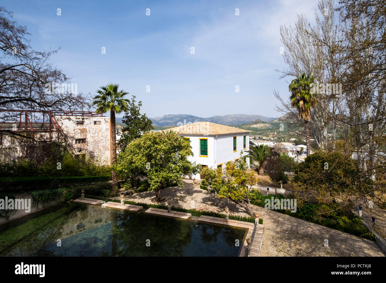 View of Priego de Cordoba and the infinite fields of olive trees in ...