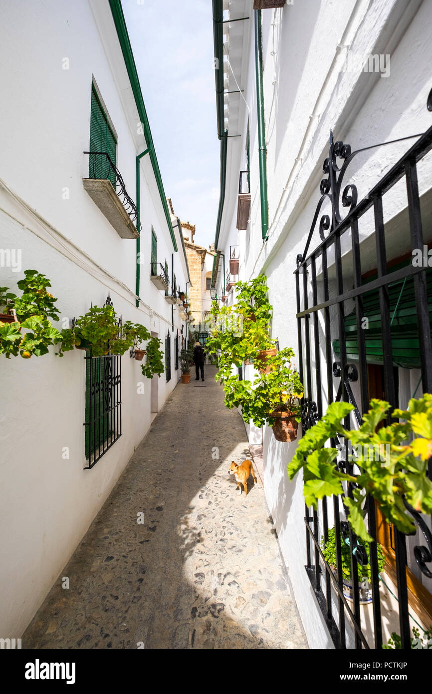 Traditional andalusian architecture hi-res stock photography and images ...