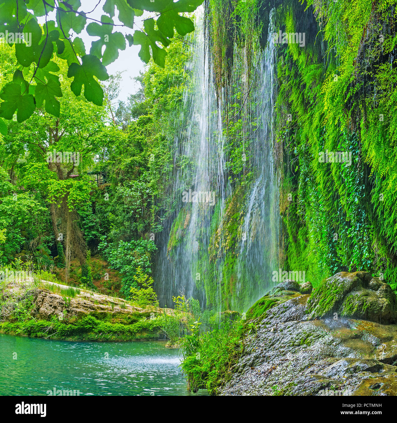 The wet boulders in lake of Kursunlu Waterfall, surrounded by lush ...