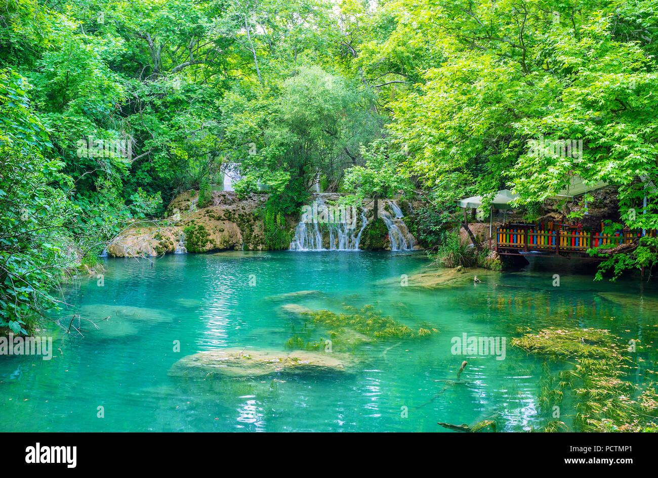 The bank of small forest lake in Kursunlu nature park is the best place ...