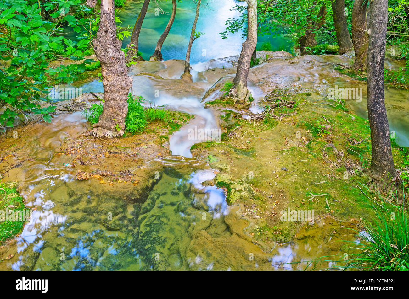The view on the gentle slope with growing trees and flowing waters of ...